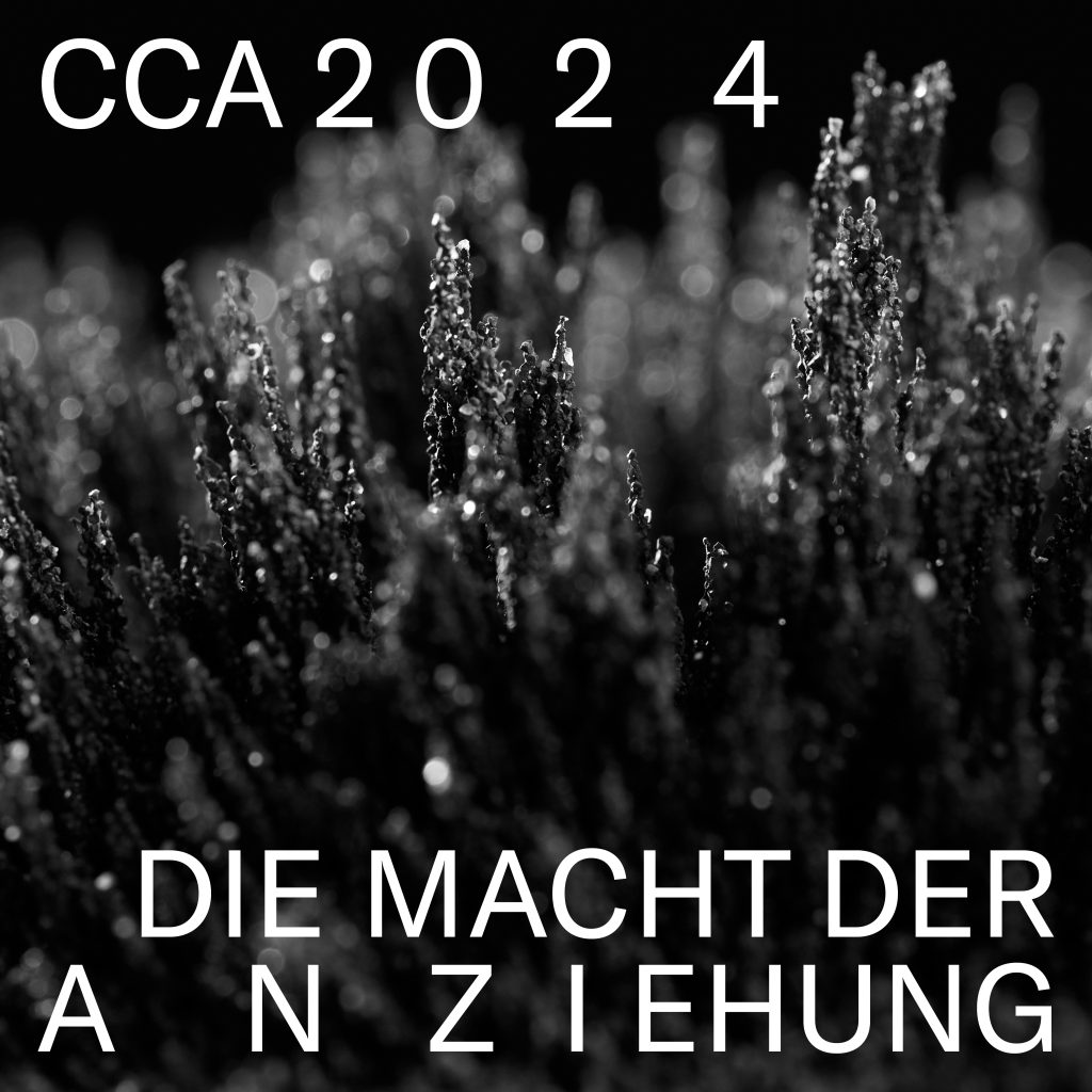 CCA Kampagne 2024 von Icarus & Studio 20four - Creativ Club Austria